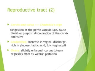 Maternal physiology during pregnancy | PPT