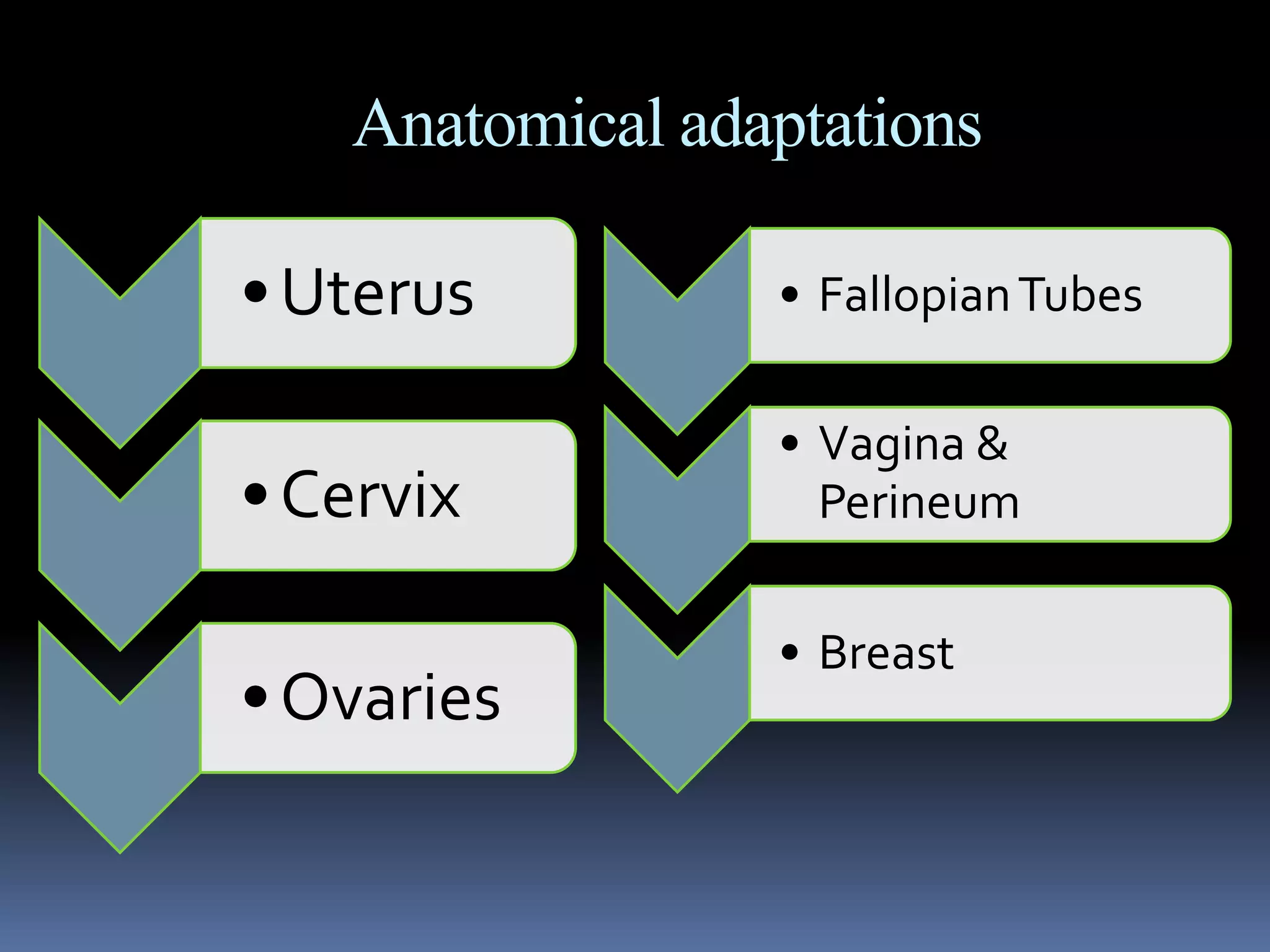 Maternal physiology in pregnancy | PPT