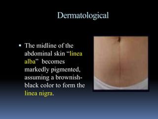 Maternal physiology in pregnancy | PPT