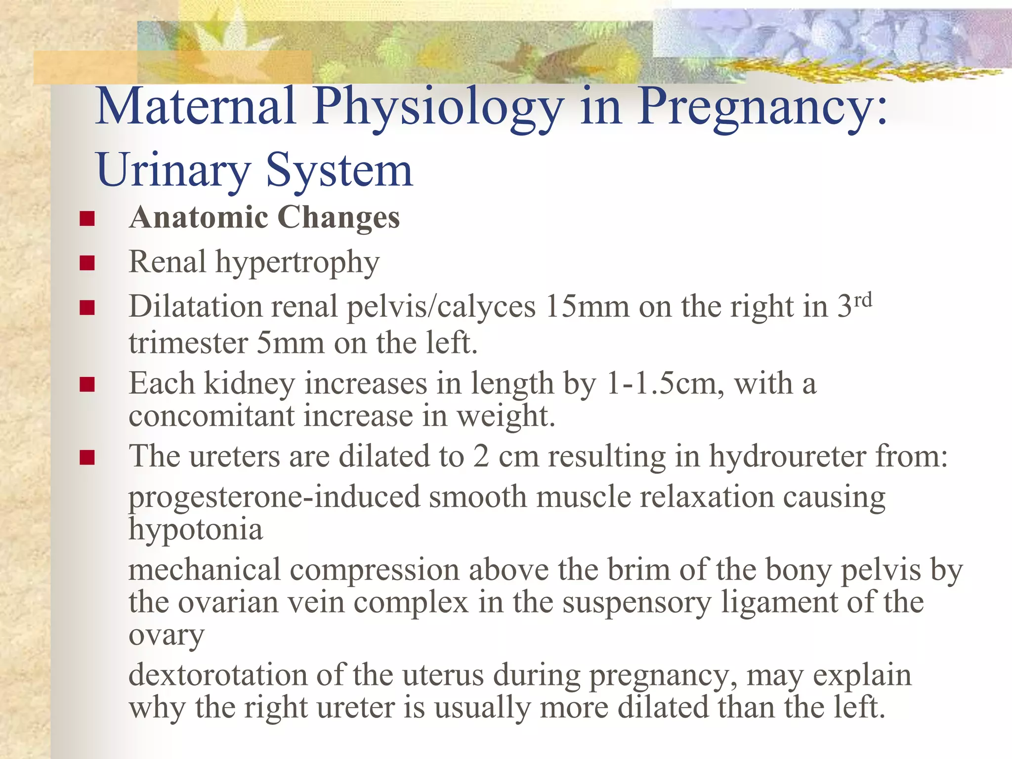 Maternal Physiology in Pregnancy | PPTX