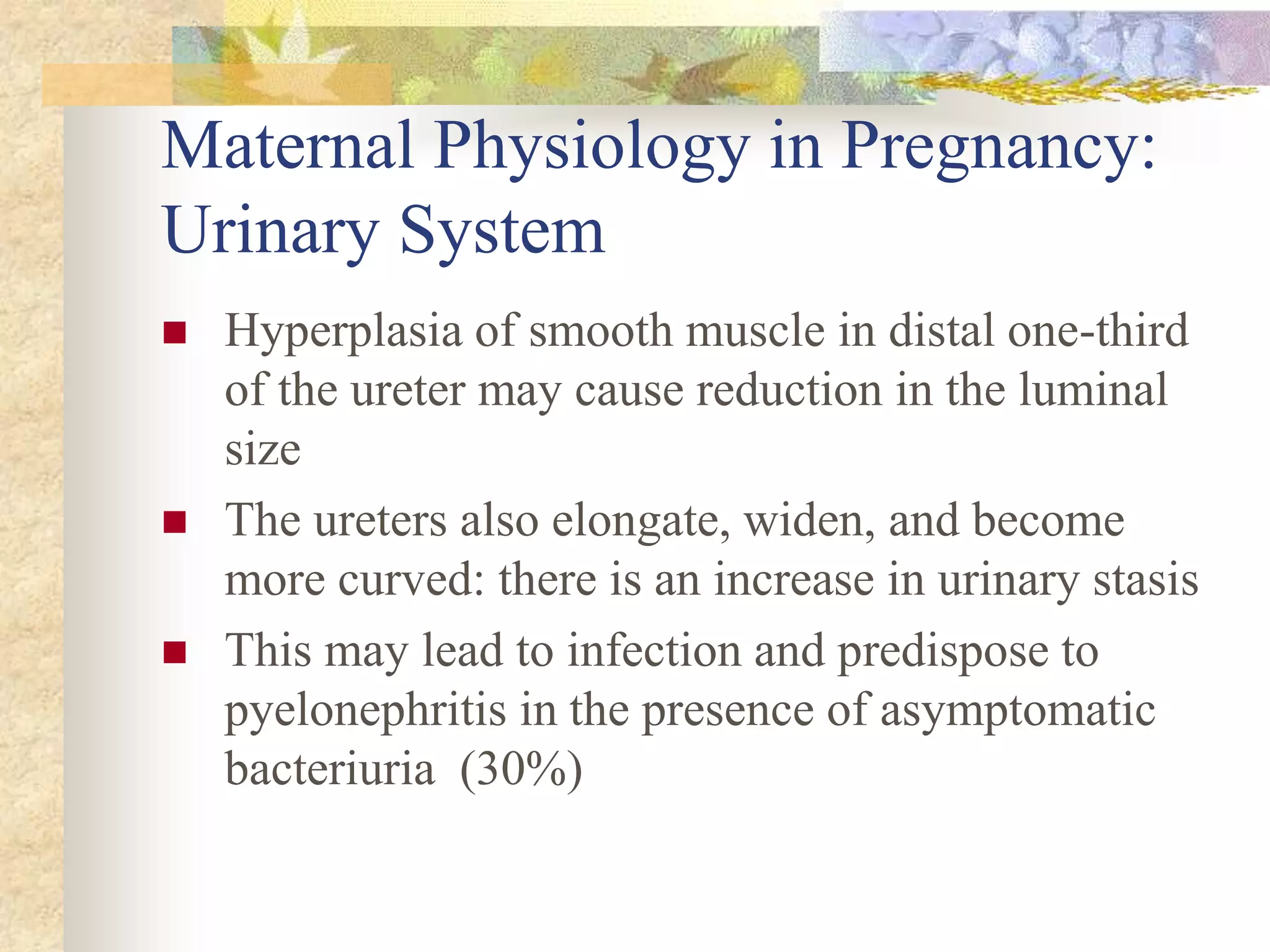 Maternal Physiology in Pregnancy | PPTX