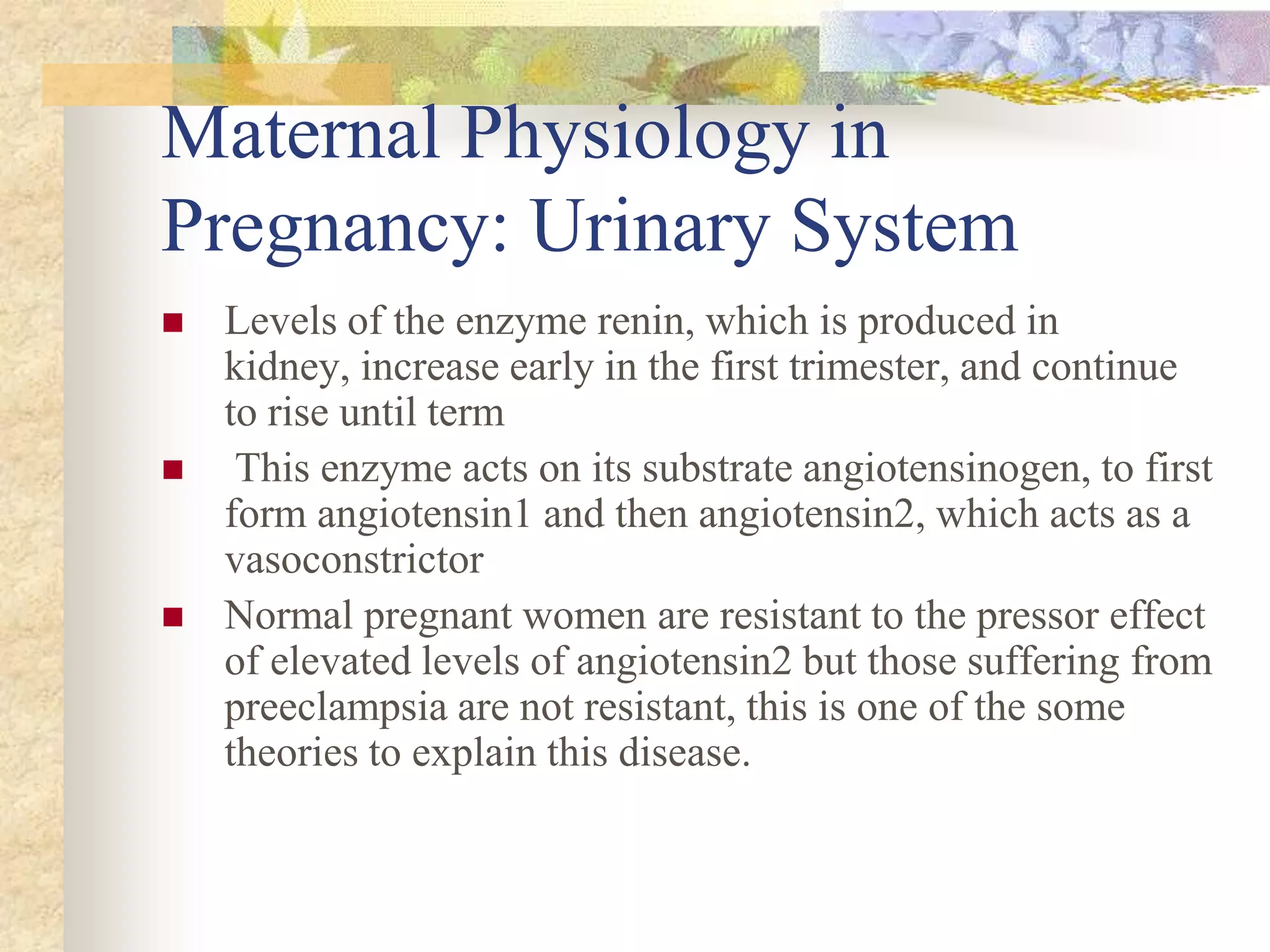 Maternal Physiology in Pregnancy | PPTX