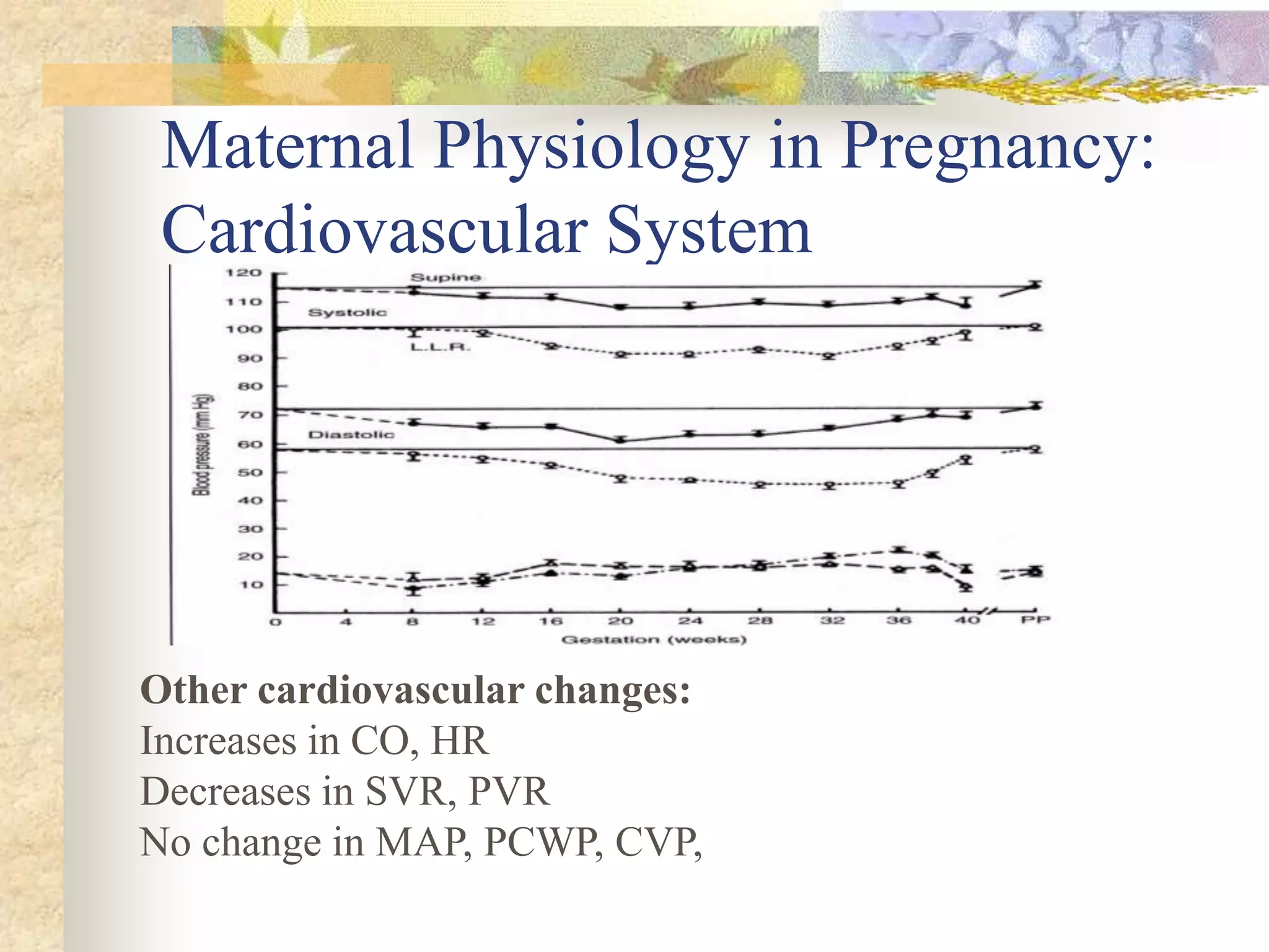 Maternal Physiology in Pregnancy | PPTX