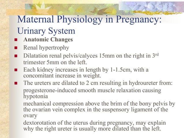 Maternal Physiology in Pregnancy | PPTX