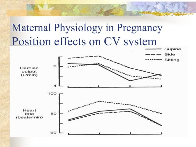 Maternal Physiology in Pregnancy | PPTX