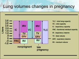 Maternal Physiology Lecture | PPT