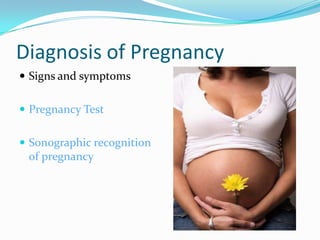 Maternal Physiology Prenatal Care Normal Labor And Delivery Pptx