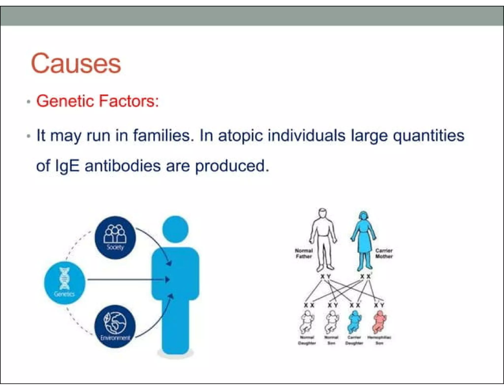 Maternal prenatal and genetic influences on development of defect and ...