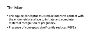 Maternal Recognition of Pregnancy - Muhammad Abdullah Nabeel.pptx