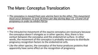 Maternal Recognition of Pregnancy - Muhammad Abdullah Nabeel.pptx