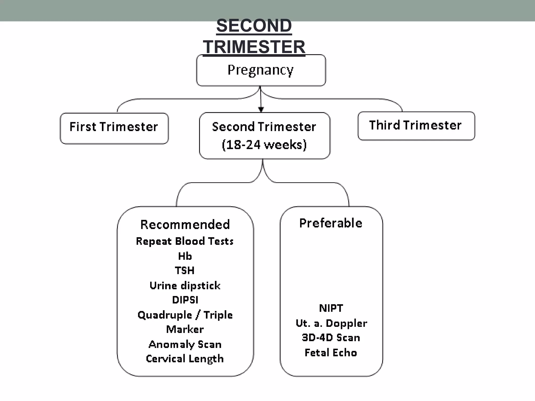 Maternal screening in pregnancy final | PPT