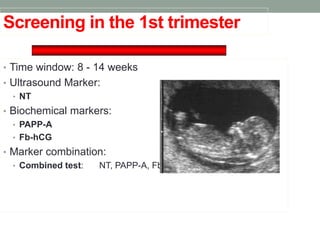 Maternal screening in pregnancy final | PPT