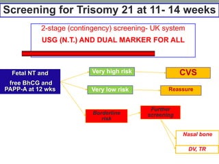 Maternal screening in pregnancy final | PPT