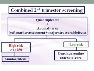 Maternal screening in pregnancy final | PPT