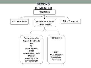 Maternal screening in pregnancy final | PPT
