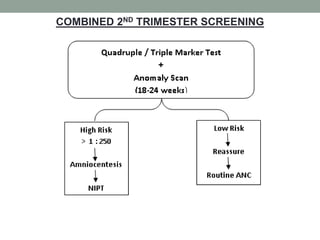 Maternal screening in pregnancy final | PPT