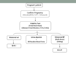 Maternal screening in pregnancy final | PPT