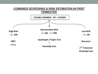 Maternal screening in pregnancy final | PPT