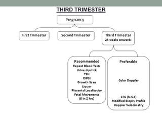 Maternal screening in pregnancy final | PPT