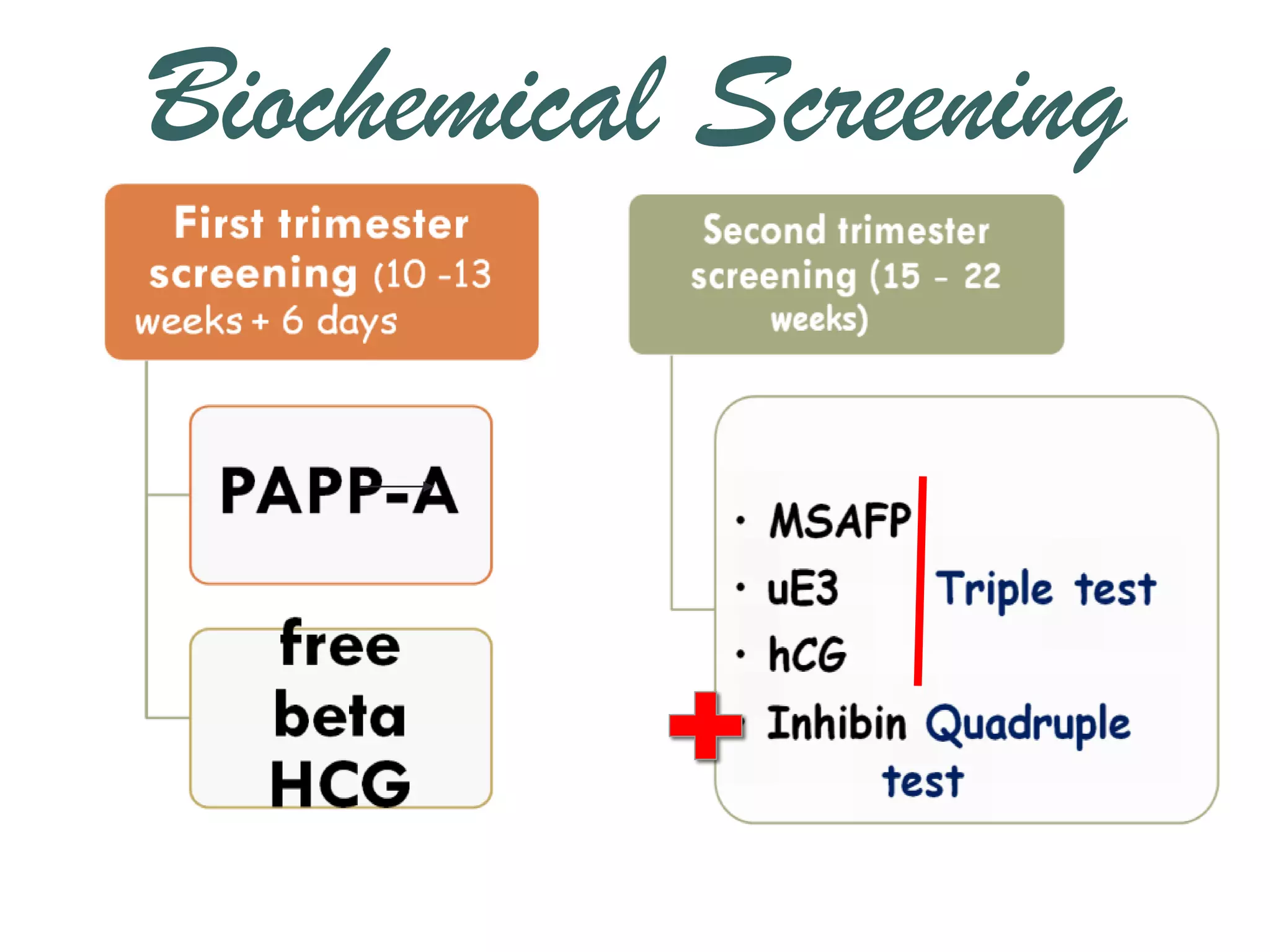 Maternal screening in pregnancy final | PDF