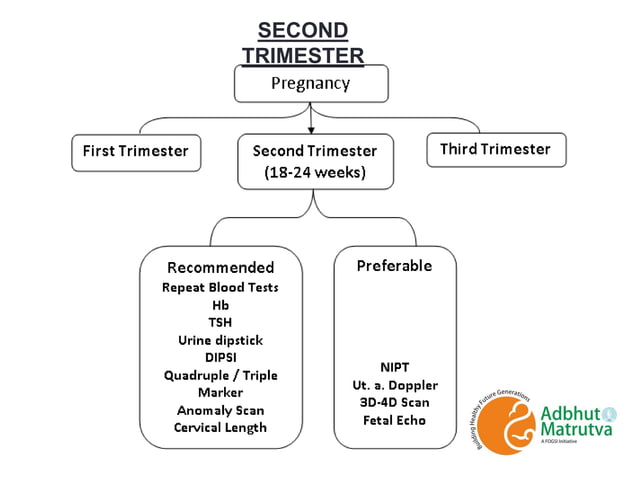Maternal screening in pregnancy final | PDF