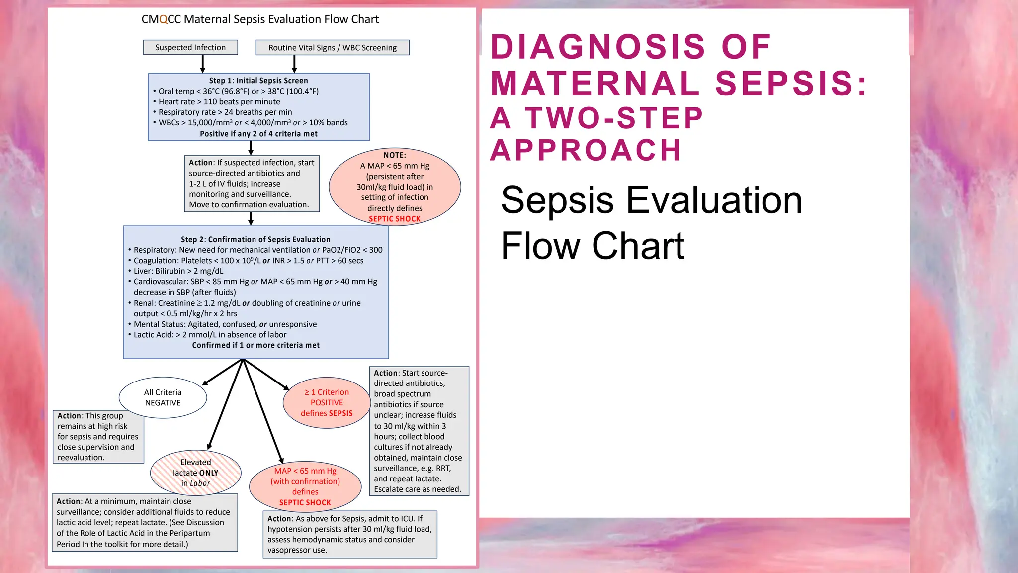 maternal_survival_sepsis_guidelines_mgmh_20_2.pptx