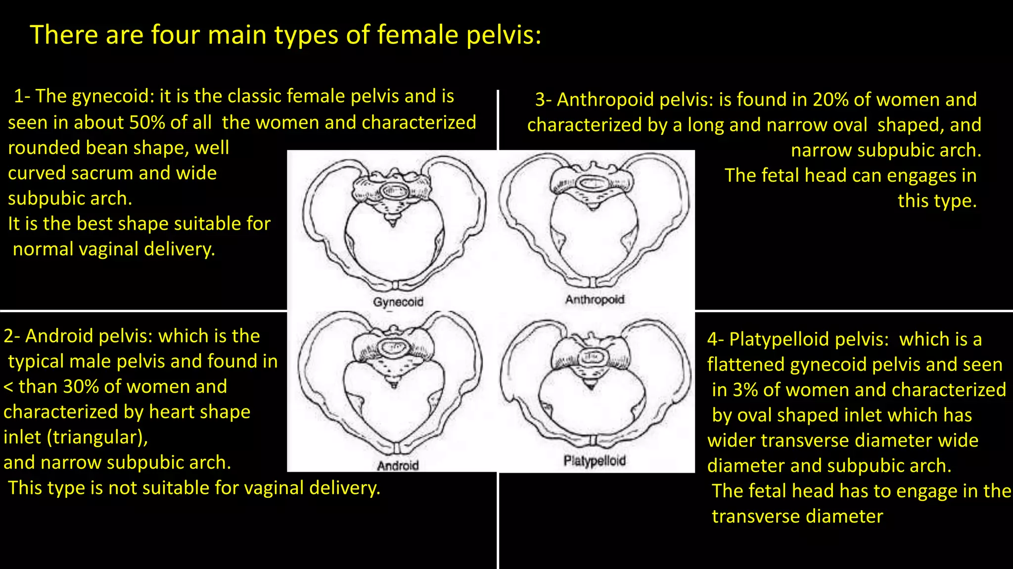 The female reproductive system | PPTX