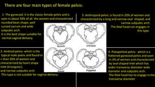 The female reproductive system | PPTX