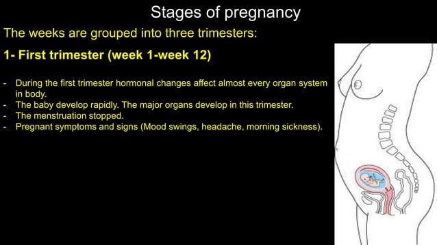 Pregnancy | PPTX