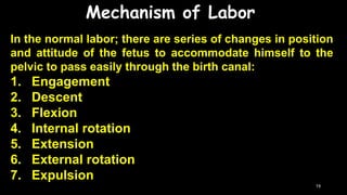 The Normal Labor | PPTX