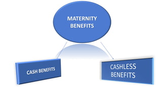 Maternity act amendment 2017 | PDF