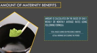 Maternity Benefits & Women Employment | PDF