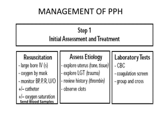 maternity guidline 2.pptx