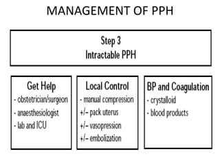 maternity guidline 2.pptx