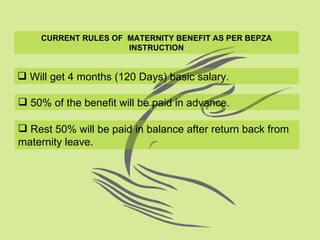 Maternity Payment Comparison | PPS