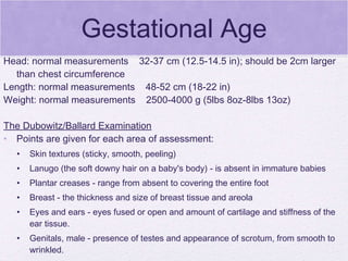 Newborn Health Assessment | PPT