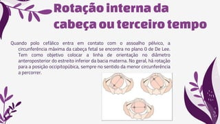 materno infantil II mecanismo do parto.pptx