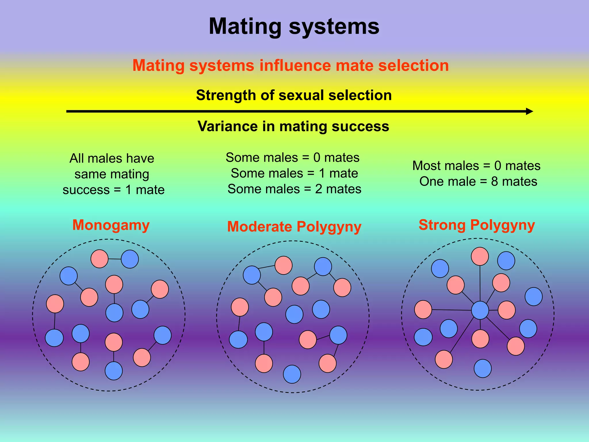 Mate selection (Mating systems) | PDF