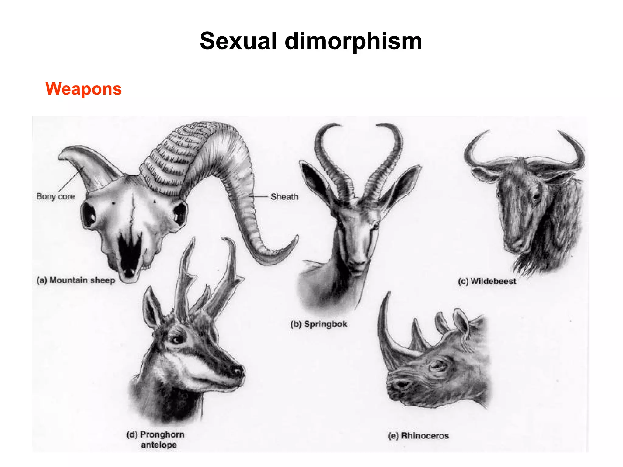 Mate selection (Mating systems) | PDF