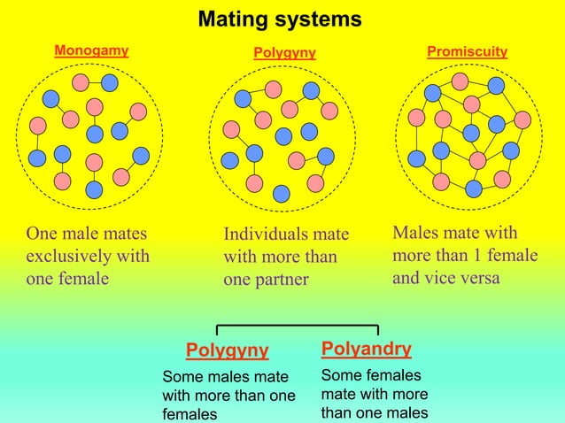 Mate selection (Mating systems) | PDF | Sexual Health | Diseases and ...