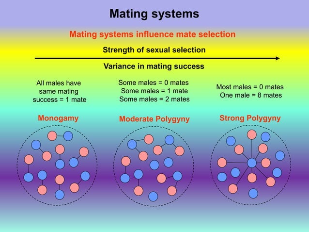 Mate selection (Mating systems) | PDF | Sexual Health | Diseases and ...