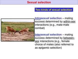 Mate selection (Mating systems) | PDF