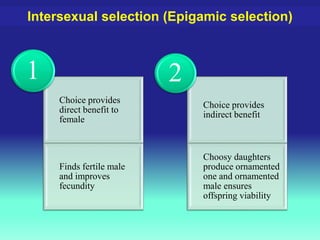 Mate selection (Mating systems) | PDF