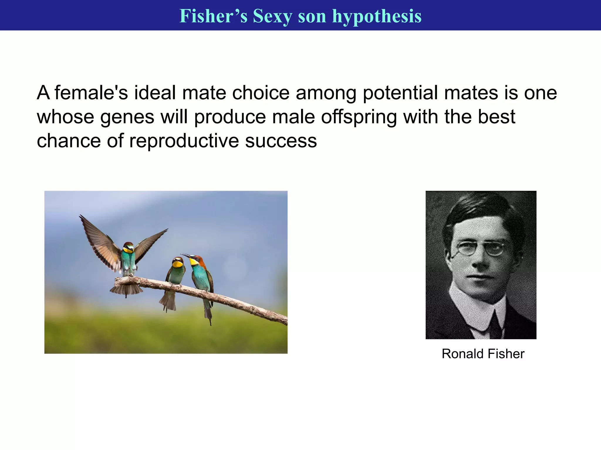 Mate selection: Principles and theories | PDF