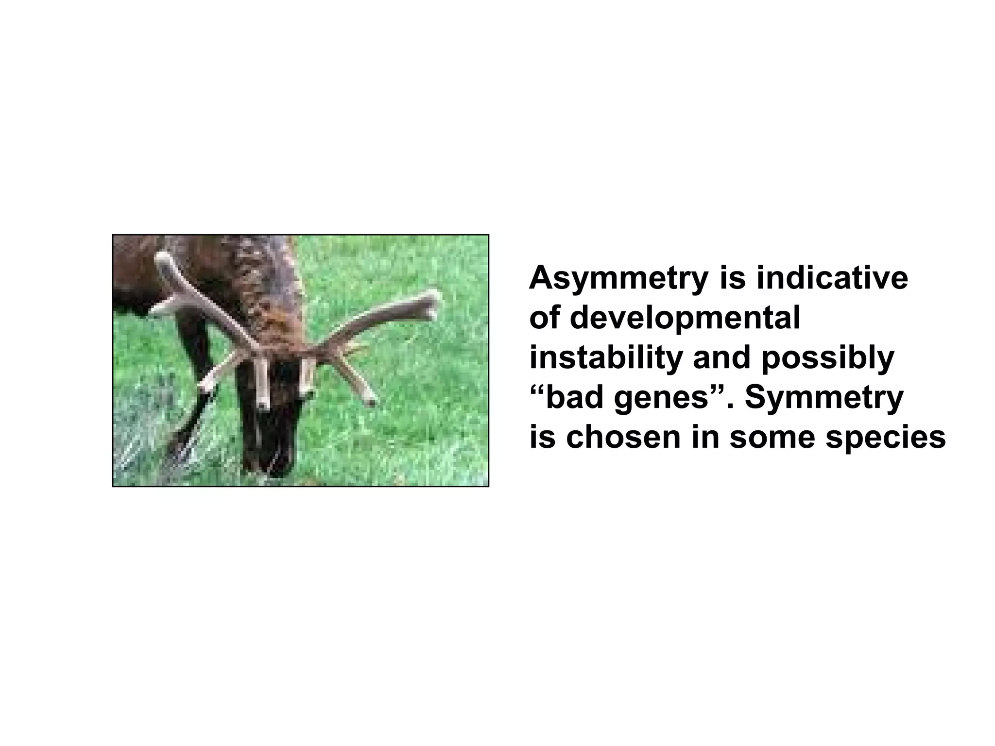 Mate selection: Principles and theories | PDF