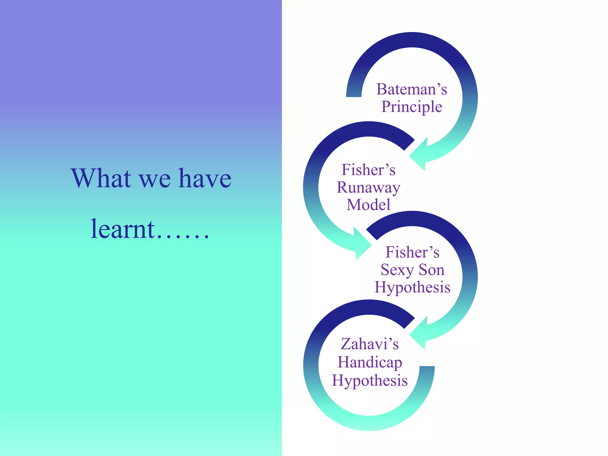 Mate selection: Principles and theories | PDF