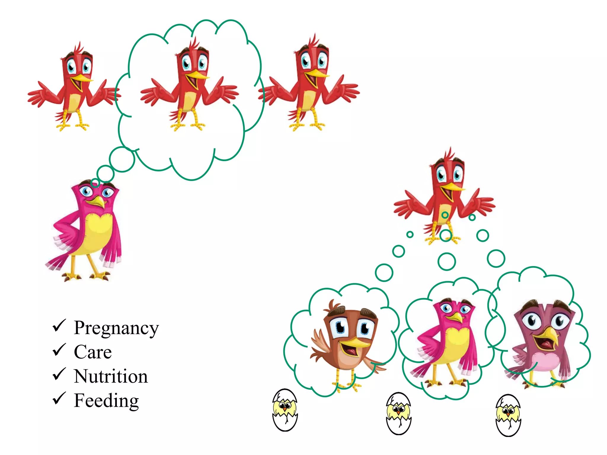 Mate selection: Principles and theories | PDF