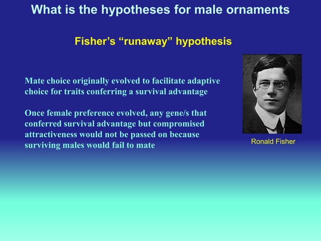Mate selection: Principles and theories | PDF