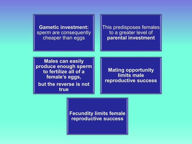 Mate selection: Principles and theories | PDF
