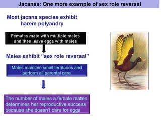 Mate selection: Principles and theories | PDF